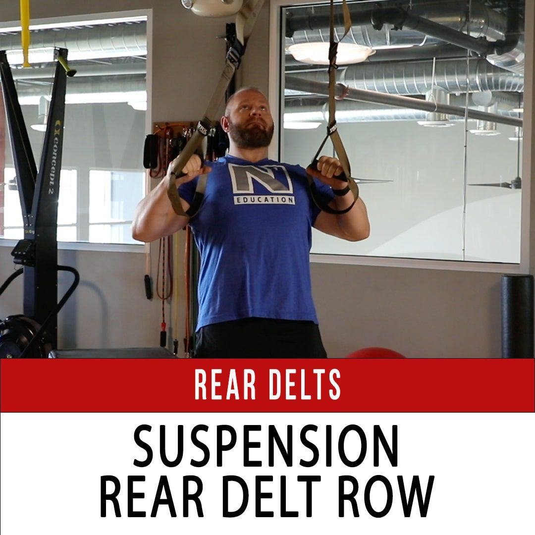 Posterior Delts Archives - N1 Training