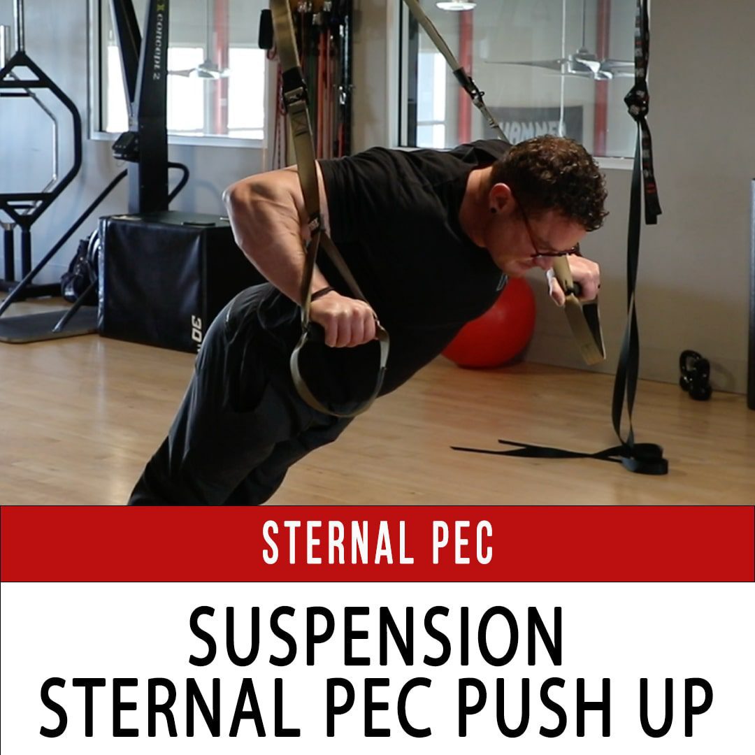 Sternal Pec Archives - N1 Training
