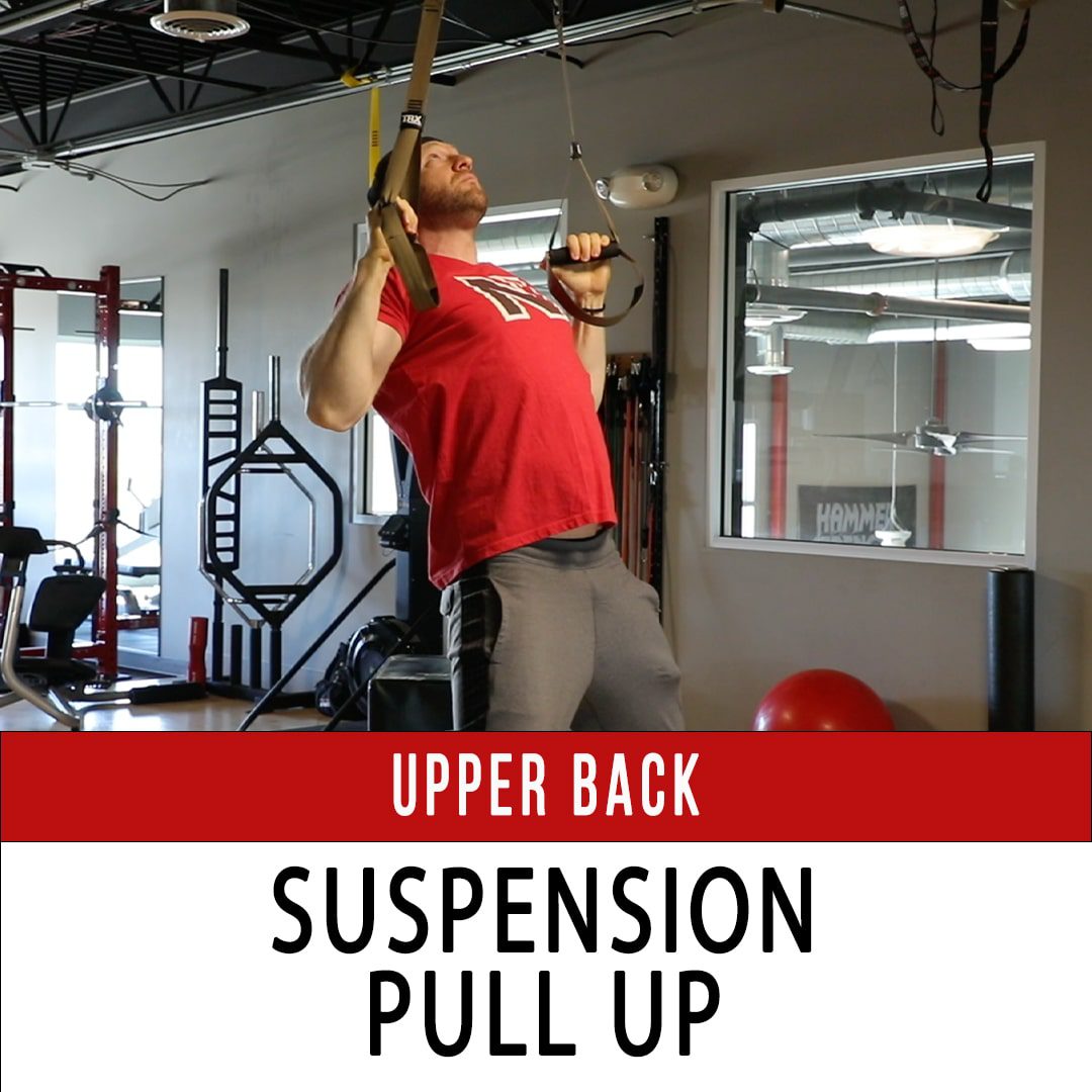 Pull-Ups Archives - N1 Training