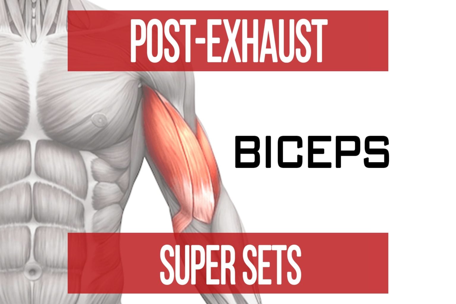 Intro to Resistance Profiles & Strength Profiles - N1 Training