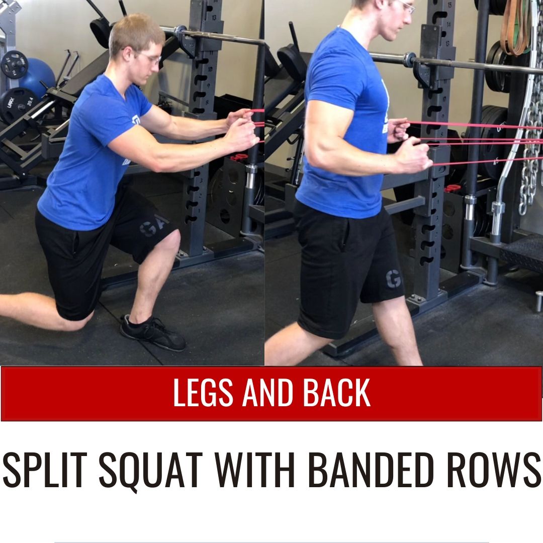 Posterior Delts - N1 Training