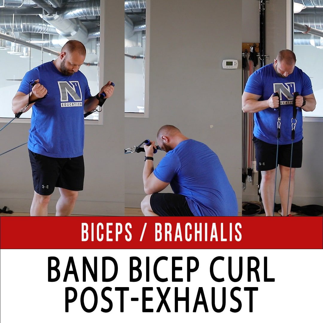 Elbow Flexors Archives - N1 Training