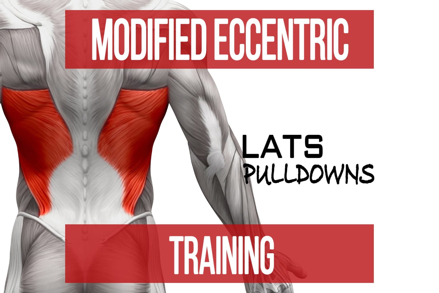 N1 Lab: Lat Pull Variations - N1 Training