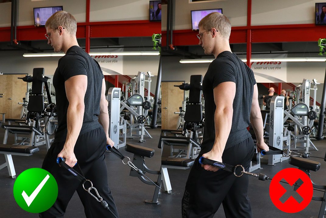 Incline DB VS Cable Curl - N1 Training