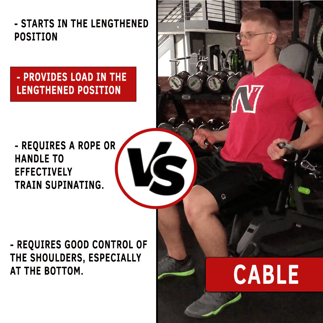 Incline DB VS Cable Curl - N1 Training
