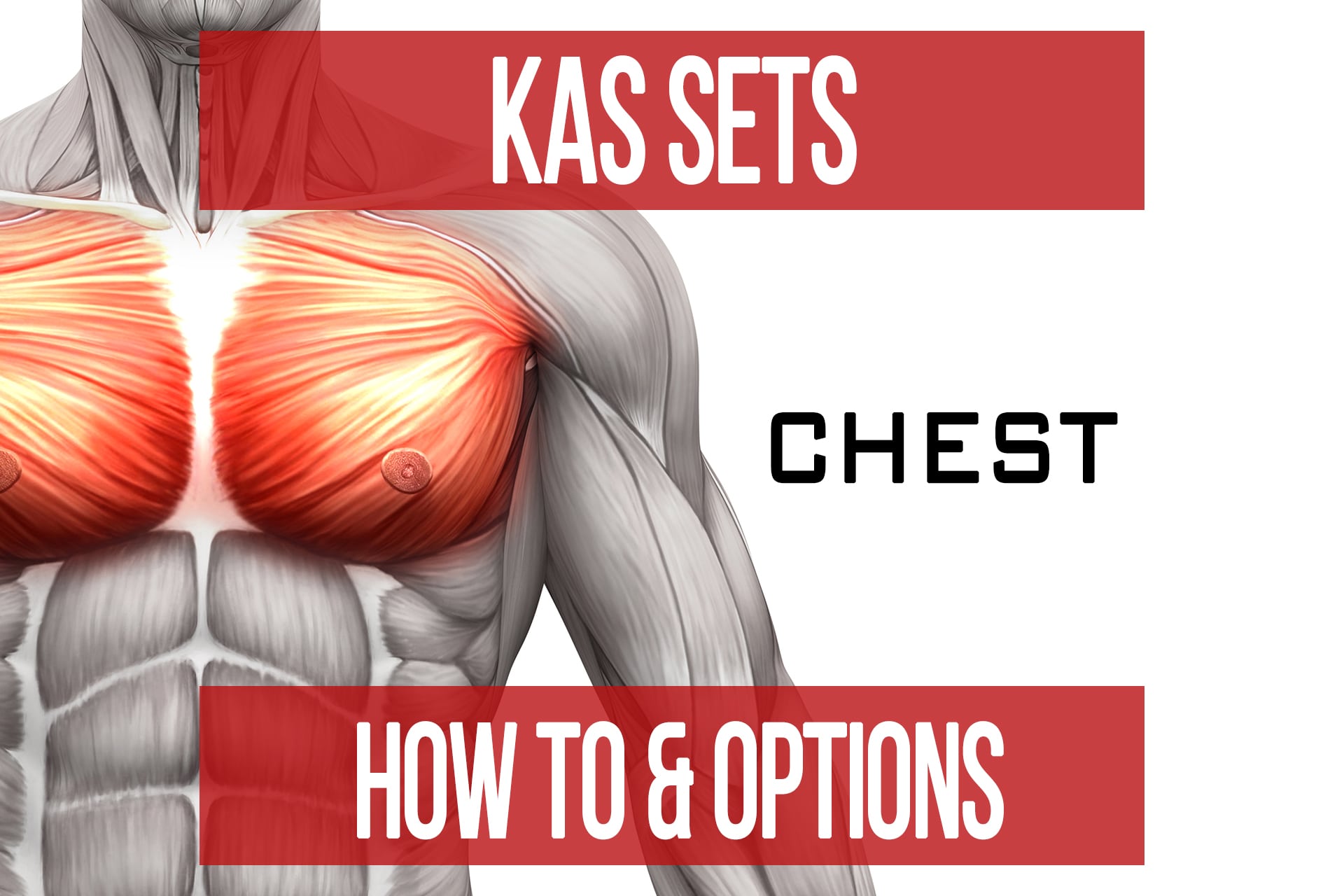 Super Sets Archives - N1 Training