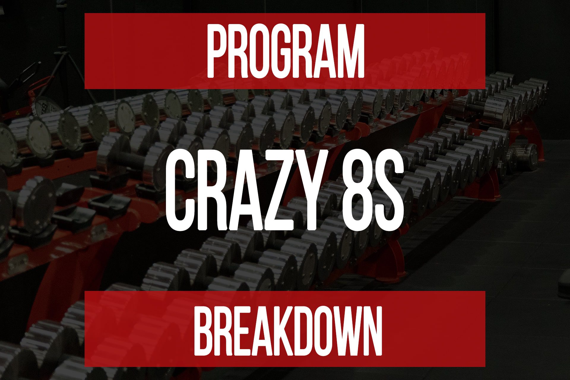 Body Composition Archives - N1 Training