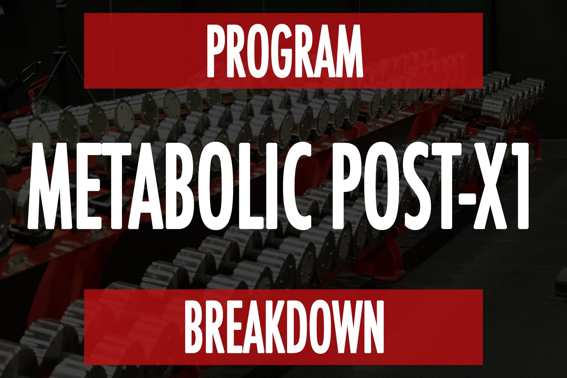 Body Composition Archives - N1 Training