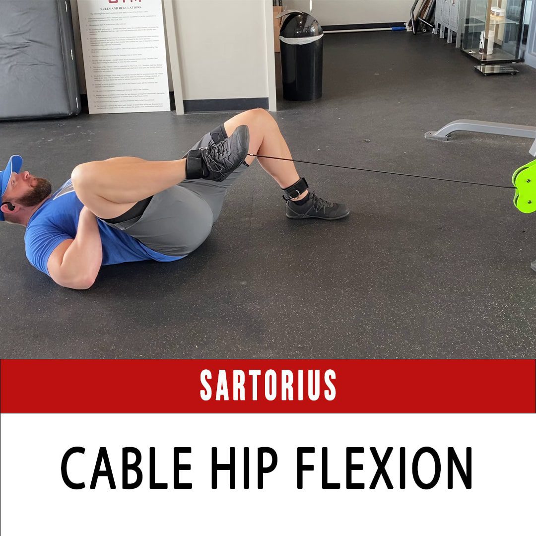 Sartorius Exercises