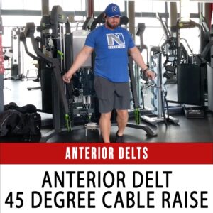 Delts - N1 Training