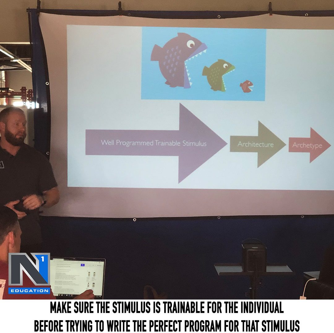 Trainable Stimulus Before Perfect Workout - N1 Training