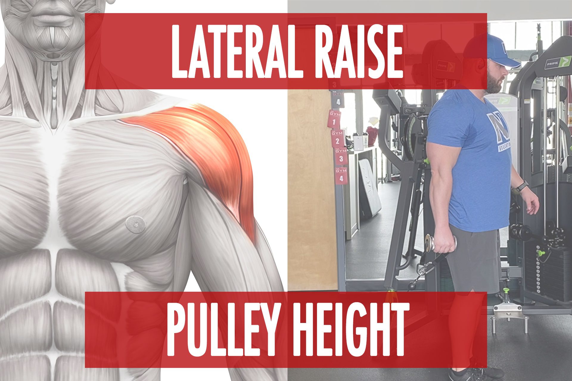 Mid Range Archives - Page 4 of 10 - N1 Training