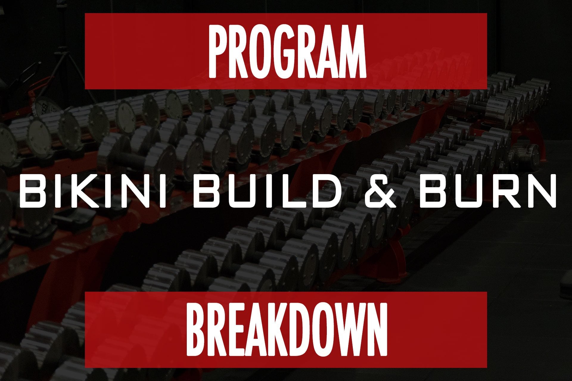 Program Design - N1 Training