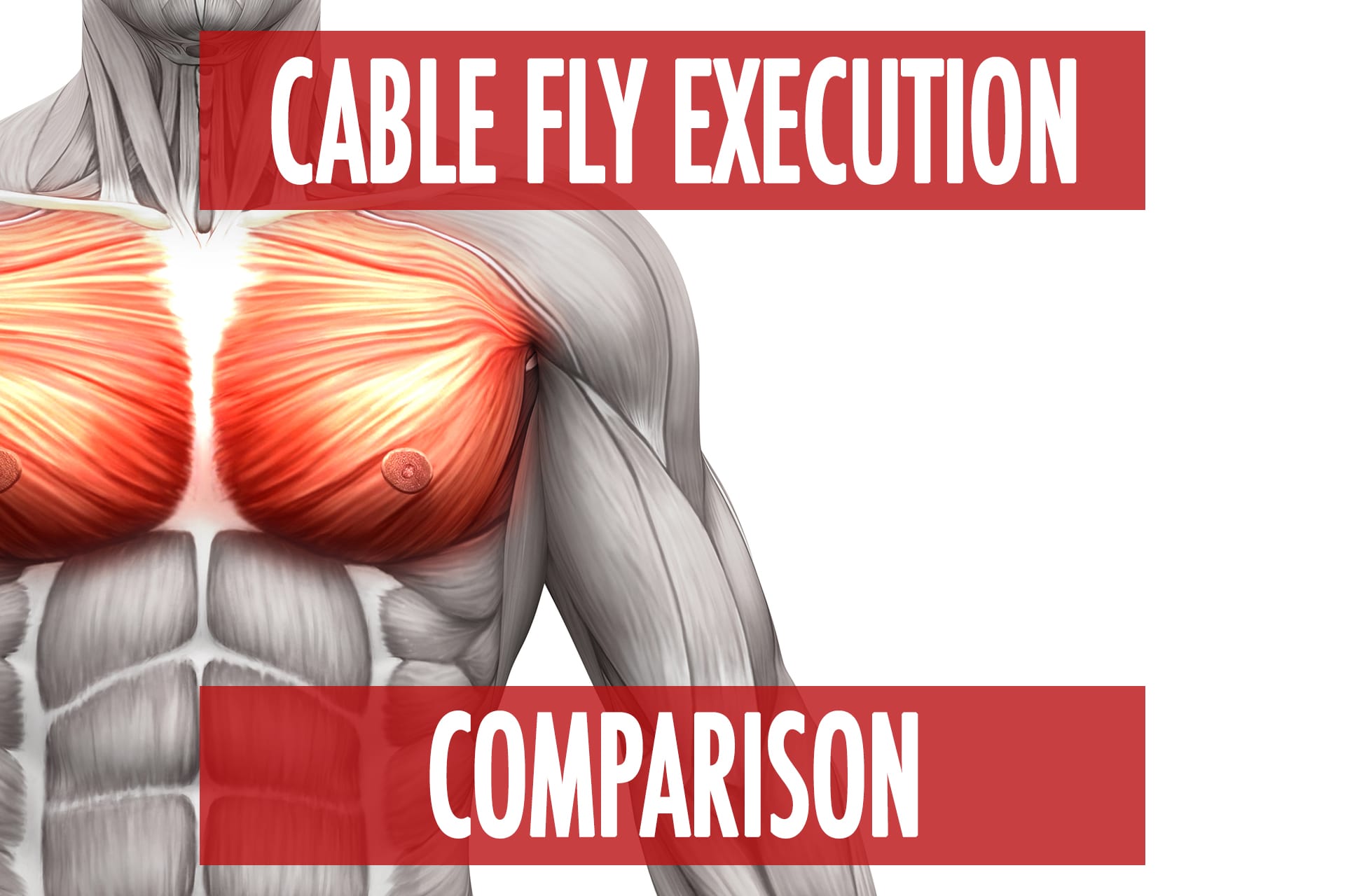 Cable Fly Execution Comparison - N1 Training