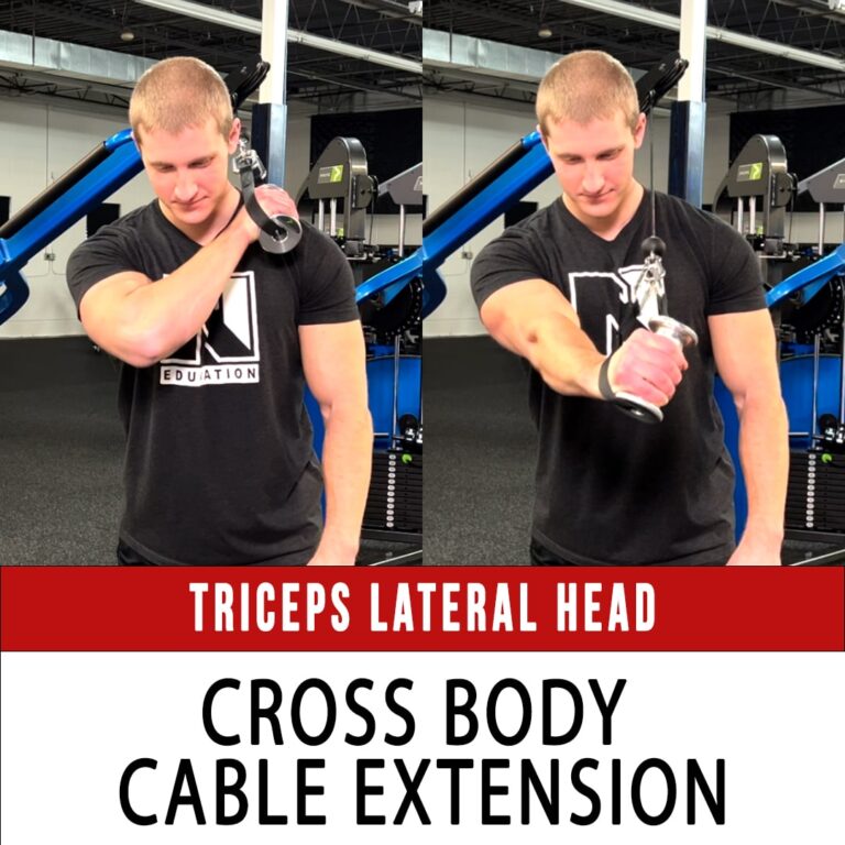 Triceps Medial Head Archives - N1 Training