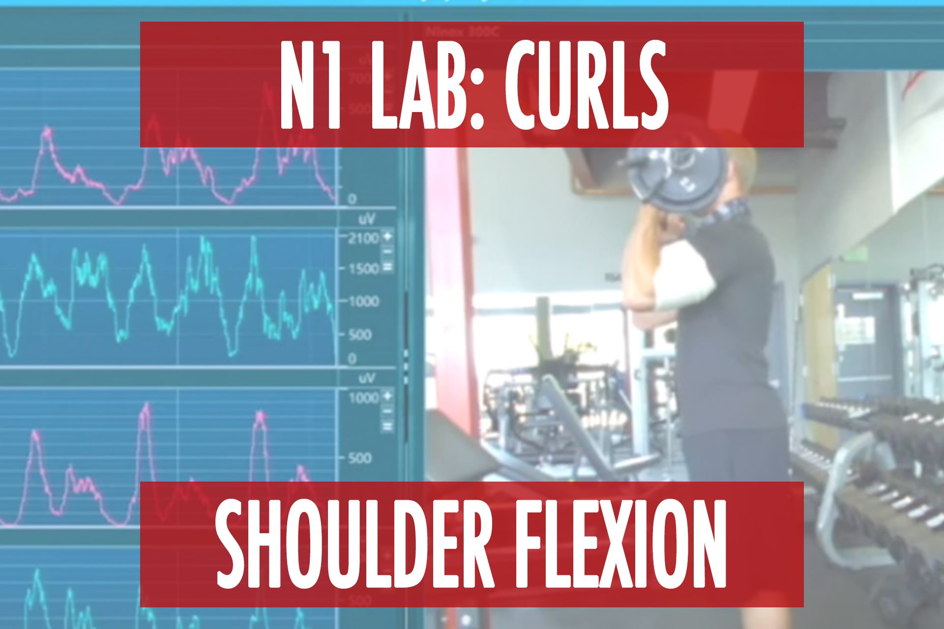 Don't Shoulder Flex During Your Bicep Curls - N1 Training