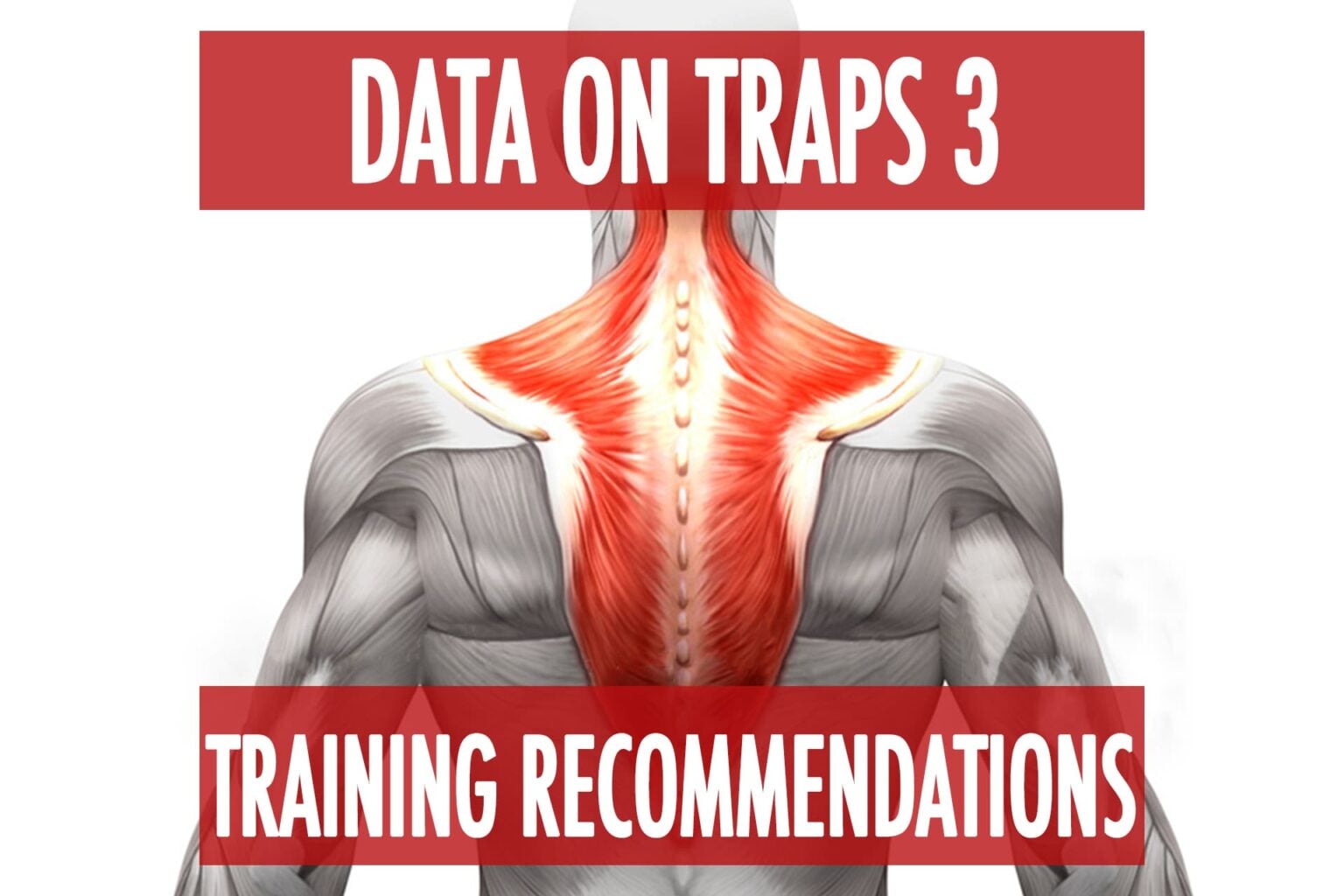 Data On Traps Part 1: Muscle Fiber Type & Function - N1 Training