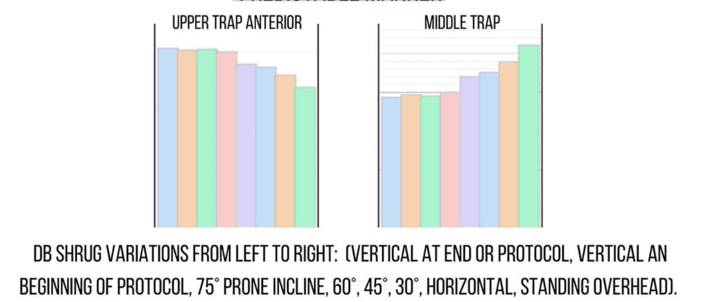 Data On Traps Part 2: Levator vs Upper Traps - N1 Training