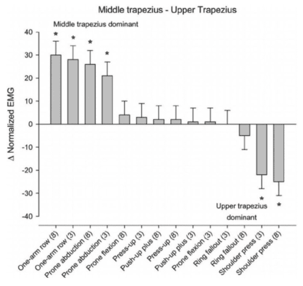 Data On Traps Part 2: Levator vs Upper Traps - N1 Training