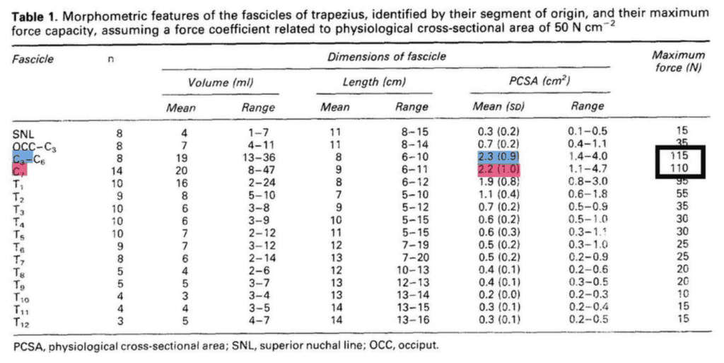 Data On Traps Part 1: Muscle Fiber Type & Function - N1 Training