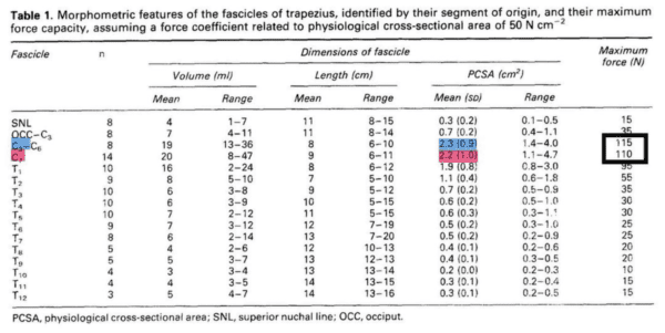 Data On Traps Part 1: Muscle Fiber Type & Function - N1 Training