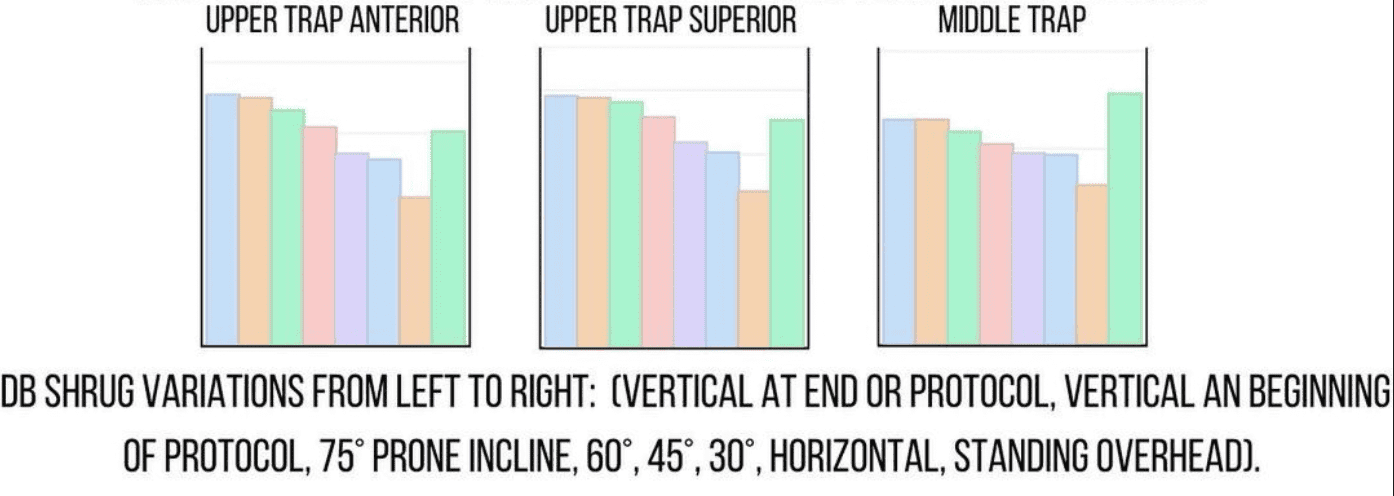 Data On Traps Part 2: Levator vs Upper Traps - N1 Training