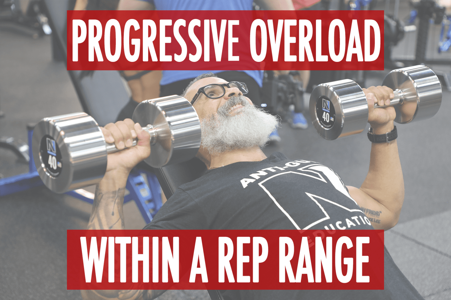 Triceps Medial Head Archives - N1 Training