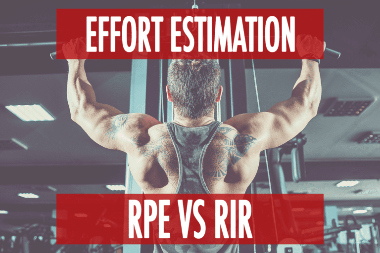 Triceps Medial Head Archives - N1 Training