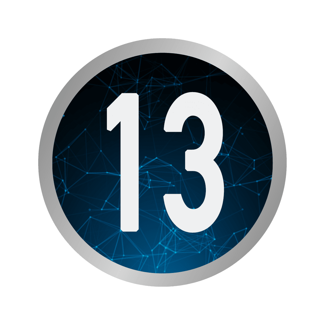 Level 13 - N1 Training