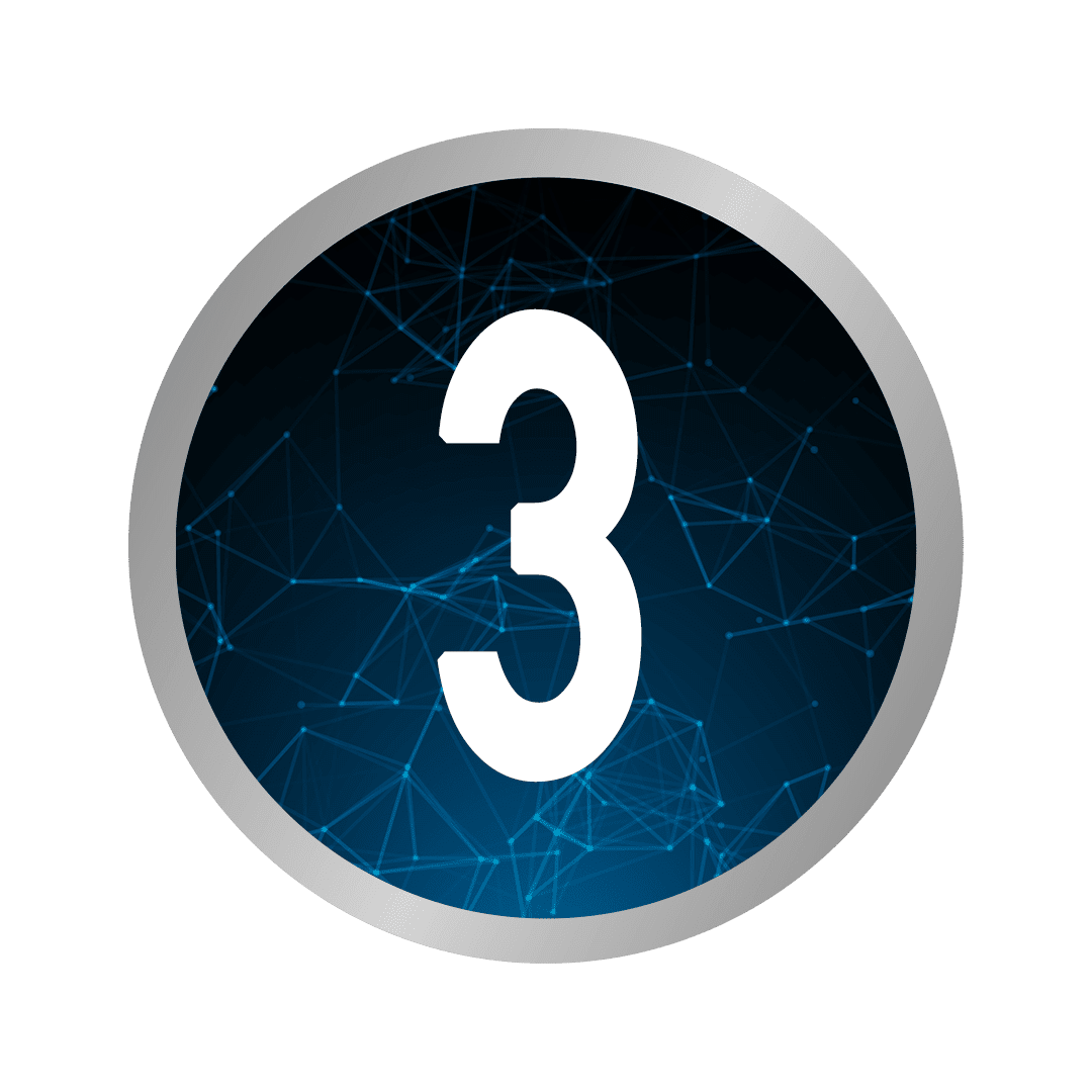 Level 3 - N1 Training