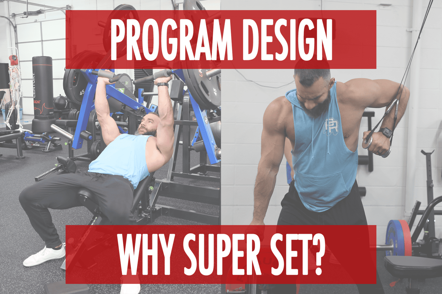 Triceps Medial Head Archives - N1 Training