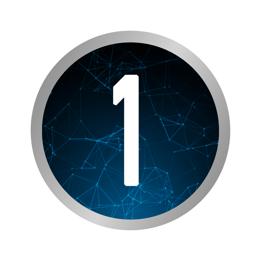 Level 1 - N1 Training