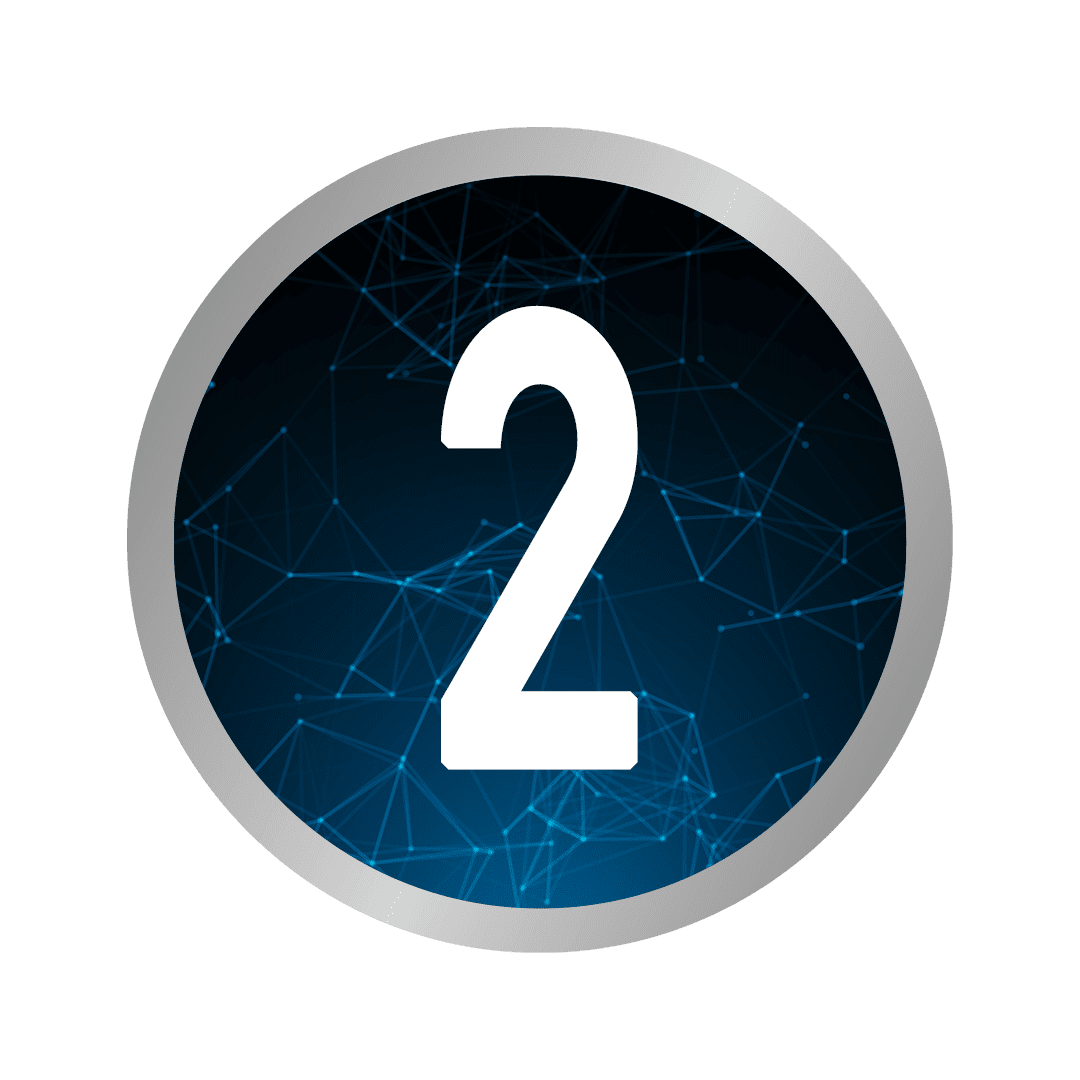 Level 2 - N1 Training